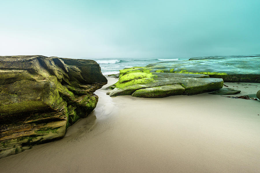 Moss Calm Photograph by Matthew Deere - Fine Art America