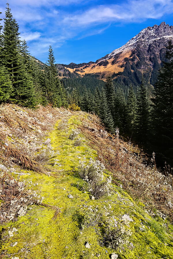 Autumn Mount Cheam Hiking Trails Photograph by Ian McAdie - Fine Art ...