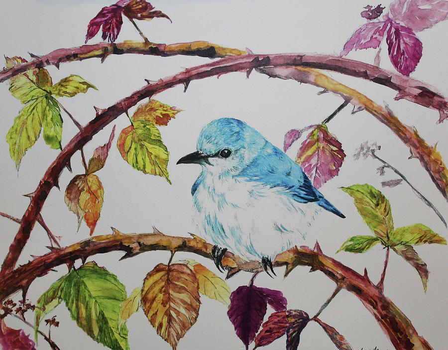 Mountain Bluebird in Brambles Painting by Tricia Martin - Fine Art America
