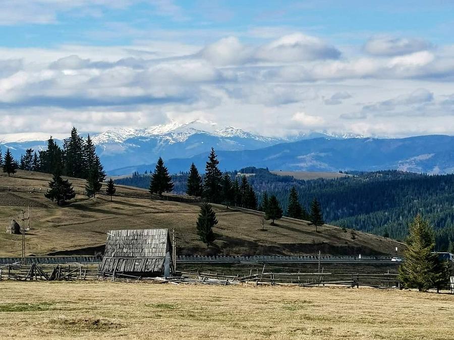 Munte Photograph by Andrei Juravle - Fine Art America