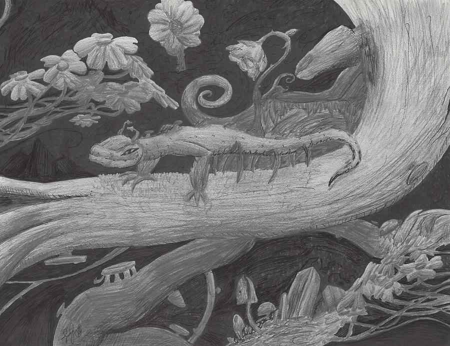 Mushroom Lizard Drawing by Dylan Rasmussen - Fine Art America