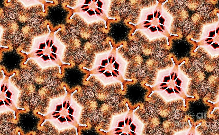 Mustache 2 Digital Art by Chistopher Posler - Fine Art America