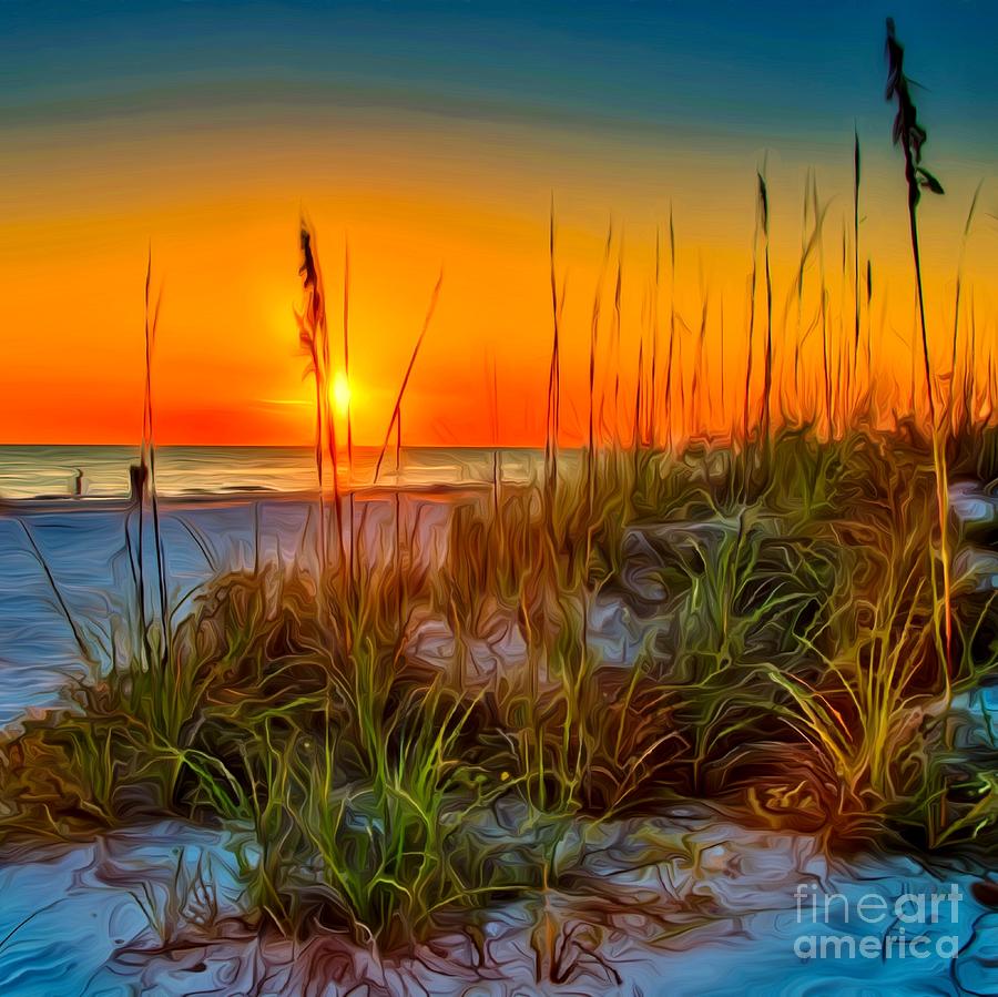 Naples Sunset Seagrass Scene Photograph by Ron Gross - Fine Art America