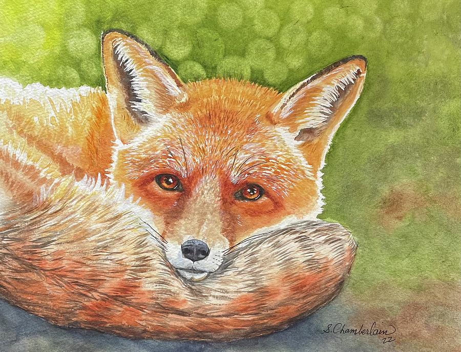 Napping Fox Painting by Susan Chamberlain - Fine Art America