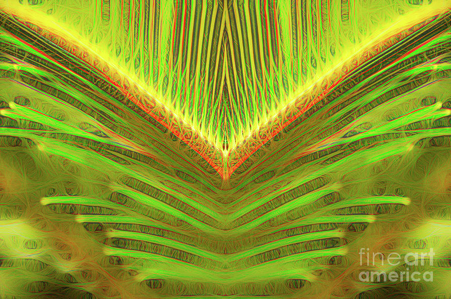 Nature-in-Abstract Fern Leaf Photograph by Mike Nellums - Fine Art America