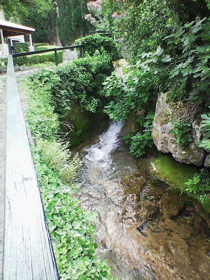 Nature Photograph By Leon Lelic Fine Art America