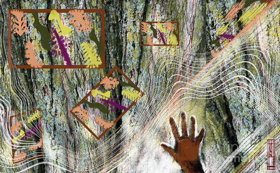 Nature Patterns Mixed Media by Katia Witkowski | Pixels