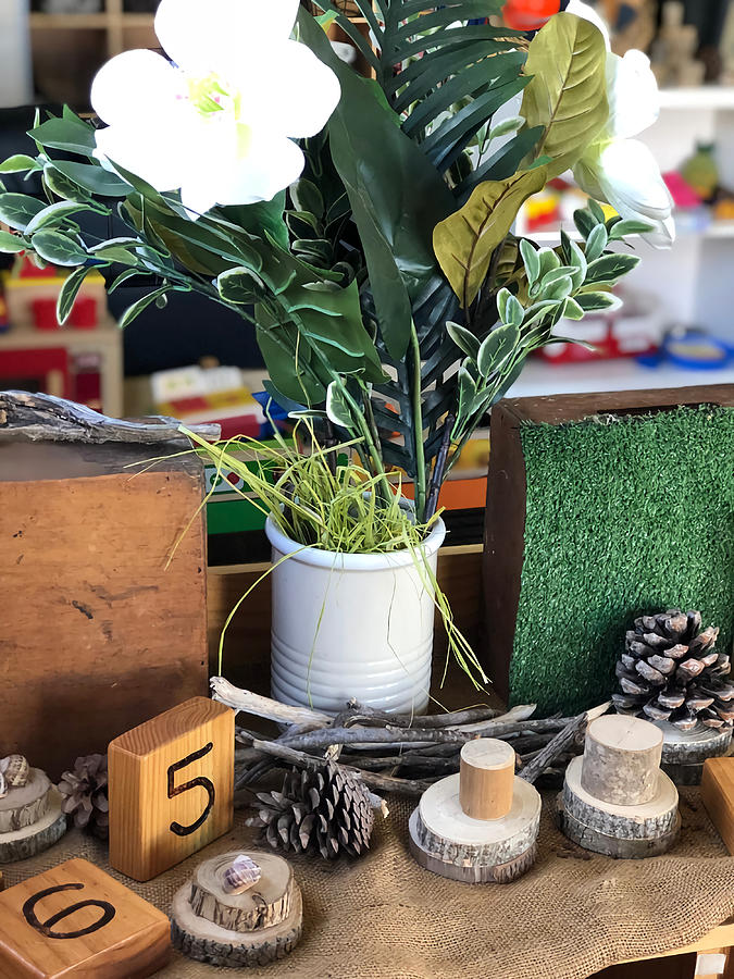 Nature Play Poster Painting by Lee Reynolds - Fine Art America