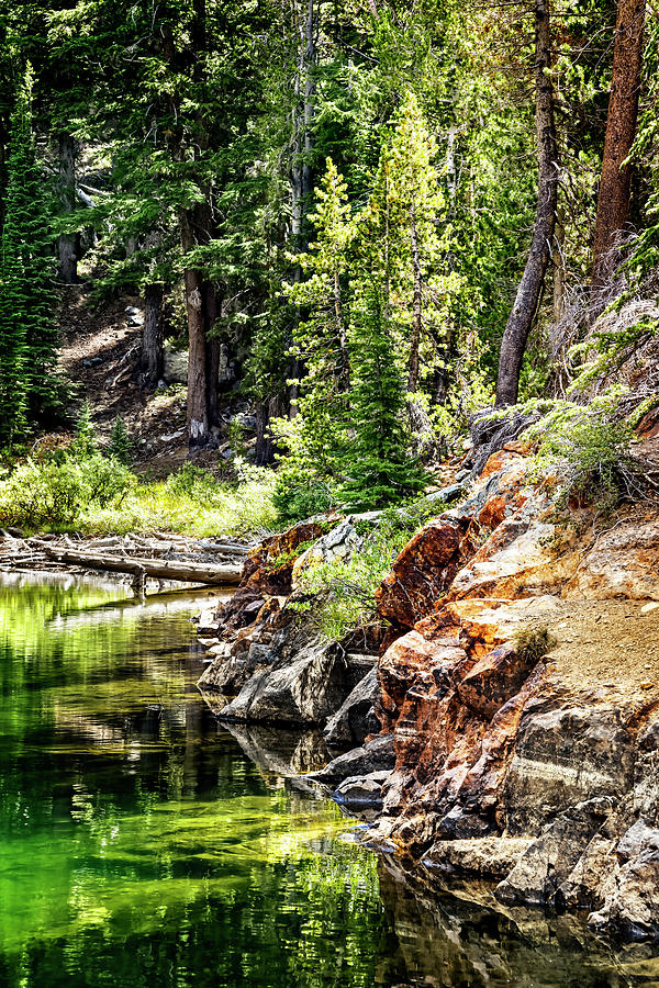 Natures Edge Photograph by Kelley King - Fine Art America