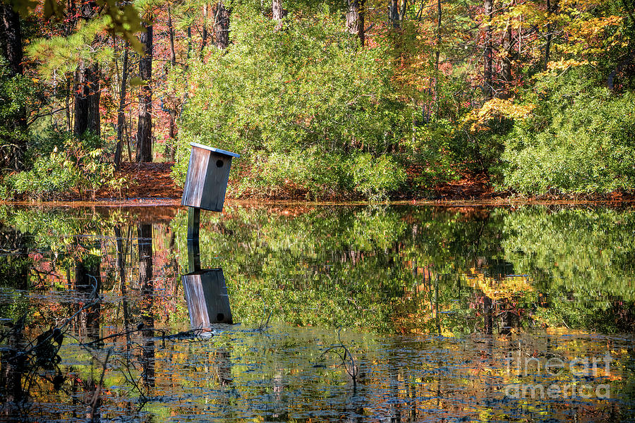 Nesting Box Reflection Photograph by Robert Anastasi - Fine Art America