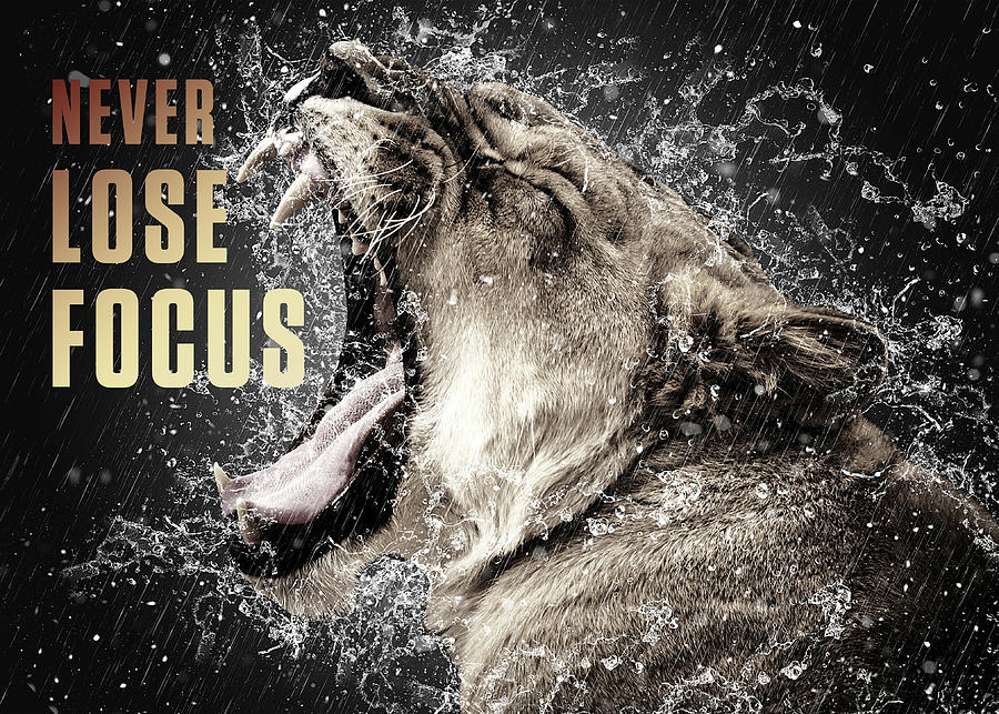 Never Lose Focus Tiger Digital Art by Towery Hill - Fine Art America