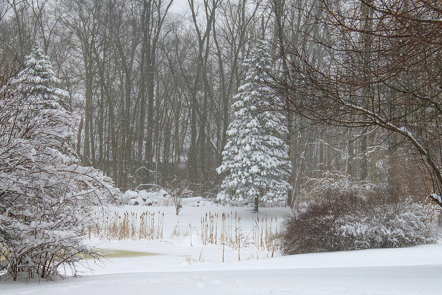 New Snow with small Lake-Howard County, Indiana Photograph by William ...