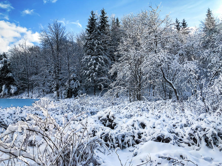 Blue Snow Blue Sky Blue Water - snowatshadygrove Photograph by Judy ...