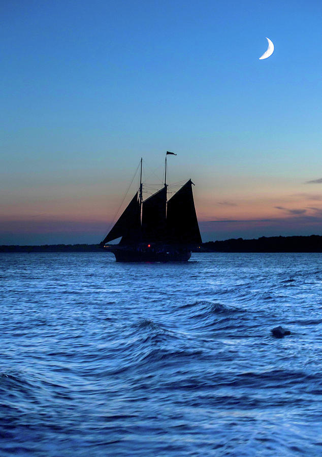 Newport RI Sail Photograph by Janet Argenta - Fine Art America
