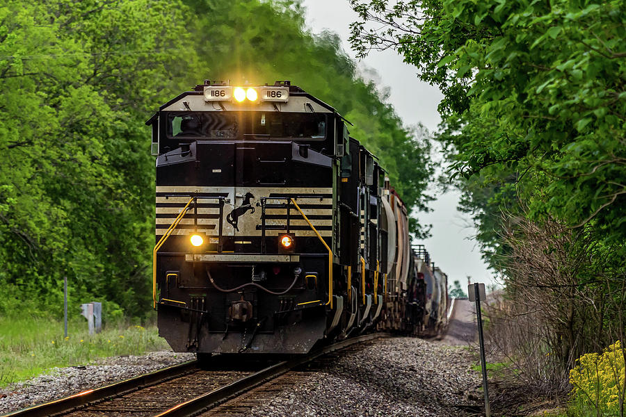 Norfolk Southern, NS 1186 EMD SD70ACe Pyrography by Steelrails Photography - Fine Art America