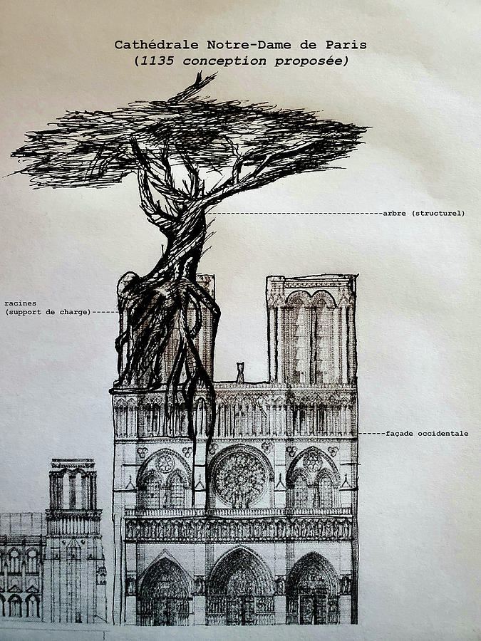 Notre Dame Architectural Design with Tree Drawing by Nate Foto - Fine ...