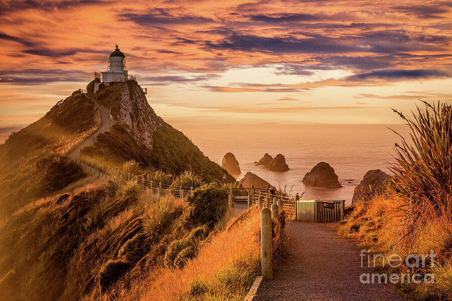 Nugget Point Lighthouse, Otago, New Zealand at Sunrise Photograph by ...