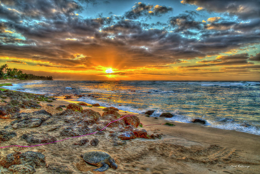 Oahu HI A Resting Place Turtle Beach Sunset Hawaiian Honu Turtle ... Oahu HI A Resting Place Turtle Beach Sunset Hawaiian Honu Turtle ...