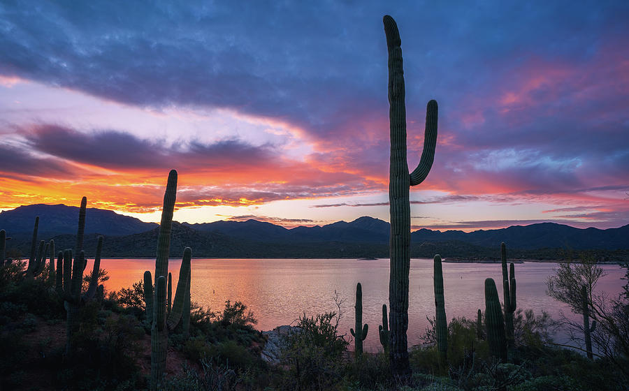 Oasis Photograph by Eric Mischke - Pixels