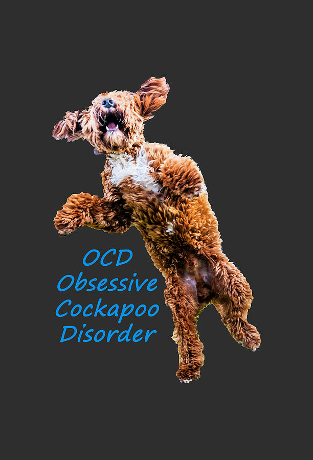 OCD Obsessive Cockapoo Disorder Photograph by Paul Thompson | Pixels