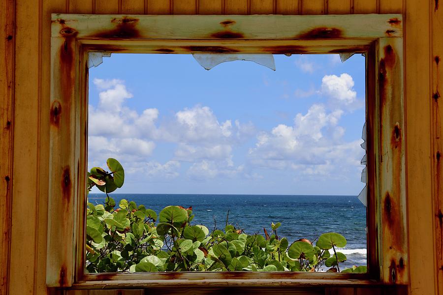 Ocean View Pyrography by Keturah Makeda - Fine Art America
