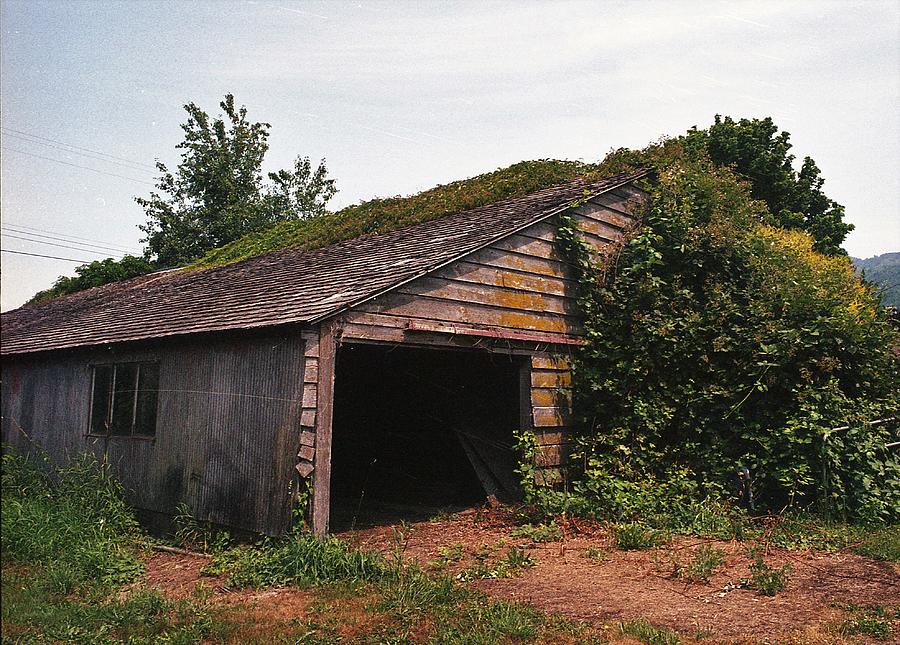 Old barn Sumas Prairie Abbotsford BC Photograph by Lawrence Christopher ...