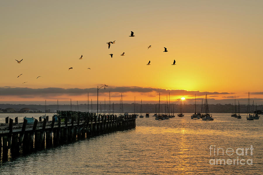 Old pier at sunset in the harbor of San Diego Photograph by Delphimages ...