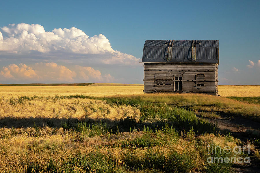 Old Prairie Farmstead Photograph by Bob Lentz - Fine Art America