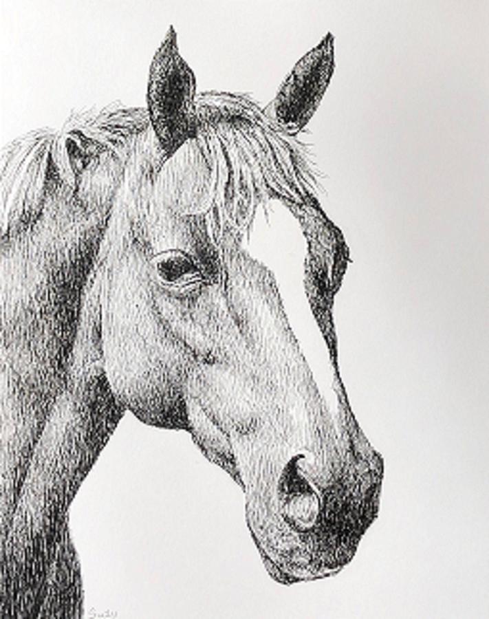Old Timer Drawing by Suzy Barnett - Fine Art America