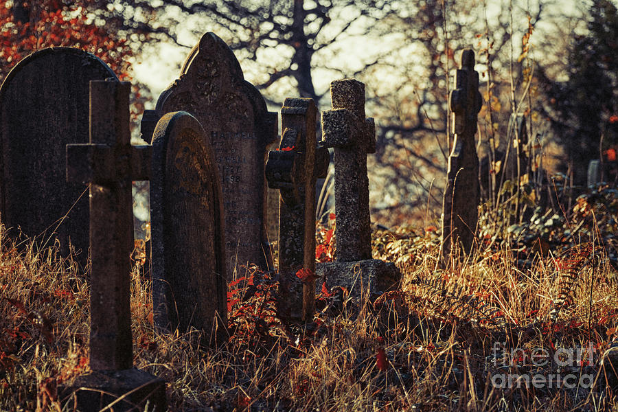 Old Victorian Graveyard Photograph by A Cappellari - Fine Art America