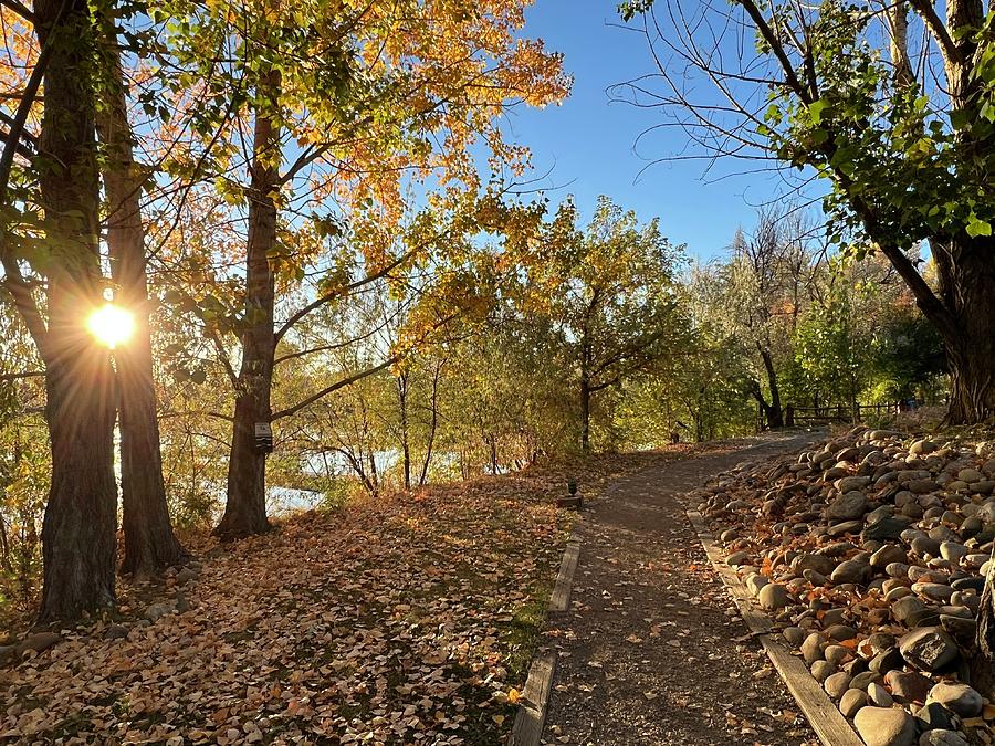 On the Right Path Photograph by Christy Pooschke - Fine Art America