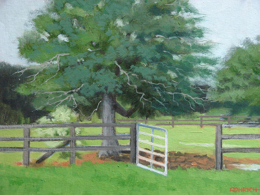 Open Paddock Painting by Robert Rohrich - Fine Art America