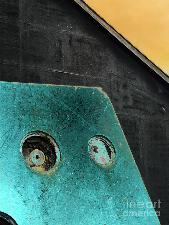 Opposites Attract Photograph by Karen Adams - Fine Art America