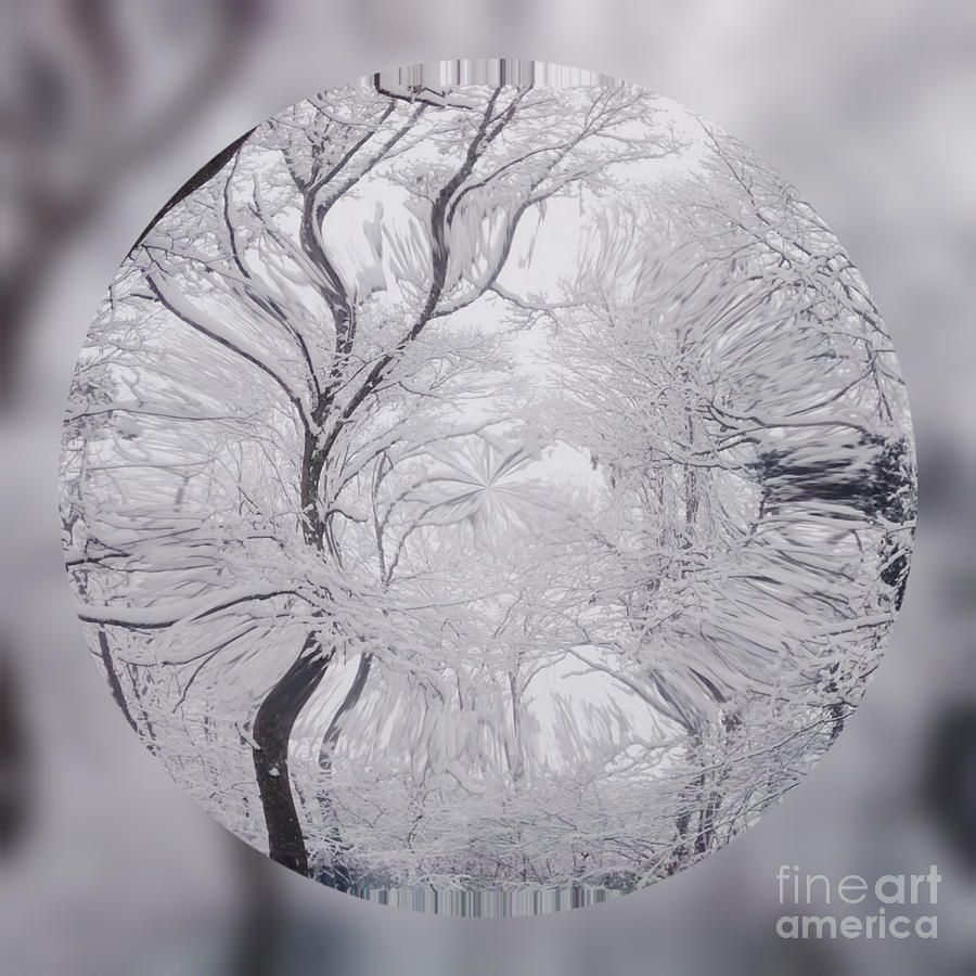 Orb Devine Photograph by Desiree Creates - Fine Art America