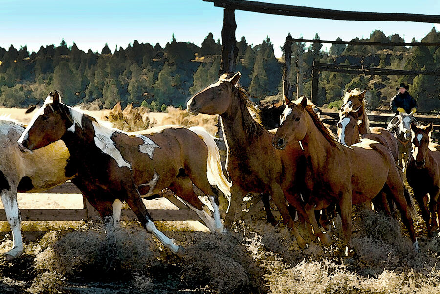 Out the Gate Photograph by Gary Alvis - Fine Art America