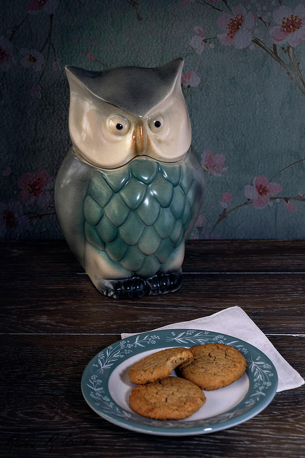 Owl Cookie Jar Photograph by Robin Cowan - Fine Art America