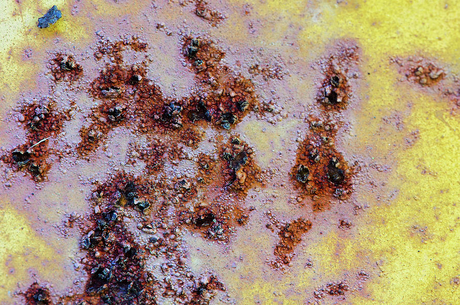 Oxidation Art 2 Photograph by Chuck Burdick - Fine Art America