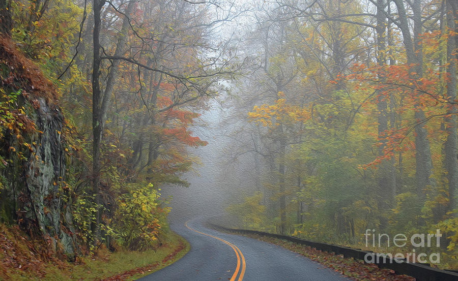 Painted Curves Photograph by Skip Willits - Fine Art America