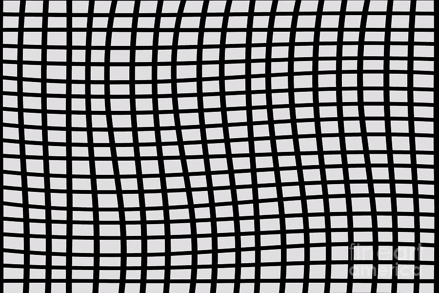 Pale Lilac Black Wavy Grid Pattern Pairs Valspar 2023 COTY Gentle ...