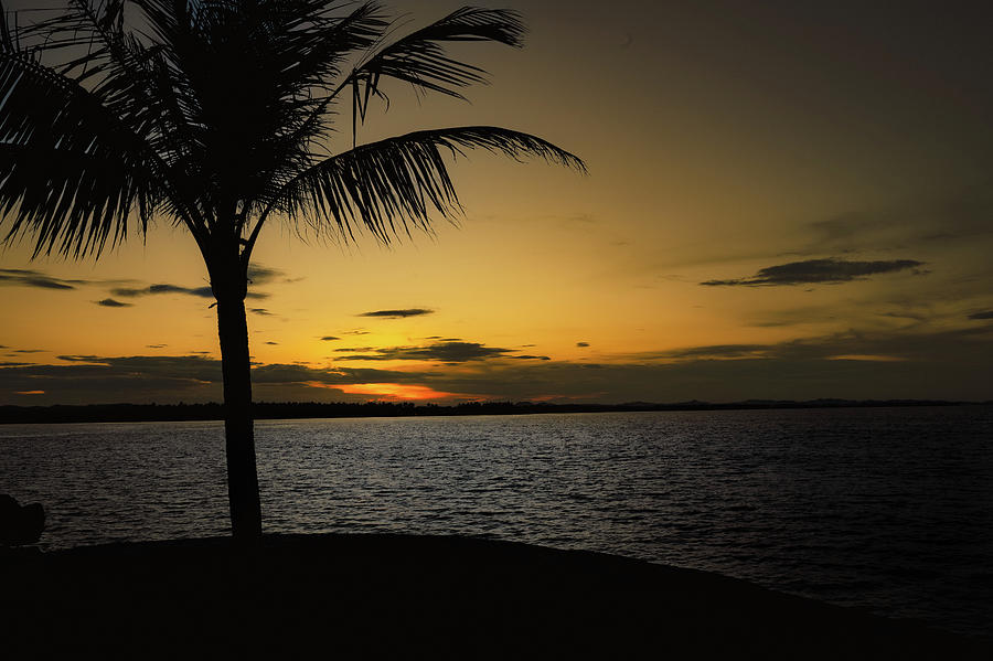 Palm and Siargao sunset Photograph by GeoDel PhotoTravelogue - Fine Art ...