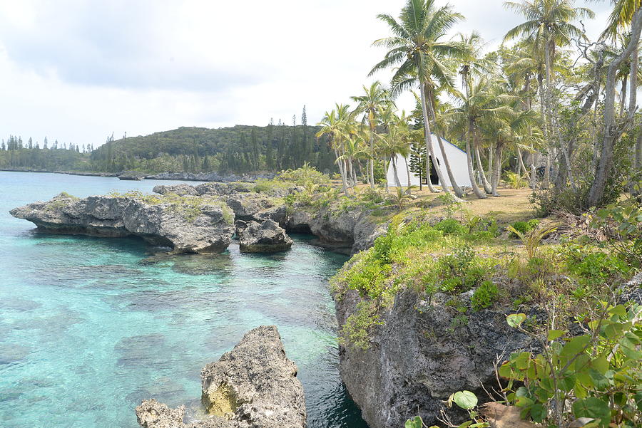 Paradise Photograph by Matthew Wimer - Fine Art America