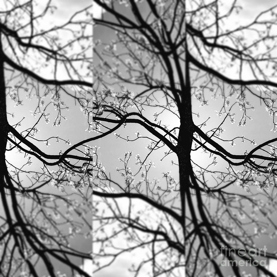 Parallel - Black And White Digital Art by Nathan Lester | Fine Art America