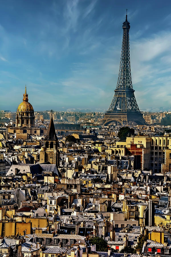 Paris from the top of Notre-Dame Cathedral. Photograph by Vladimir ...