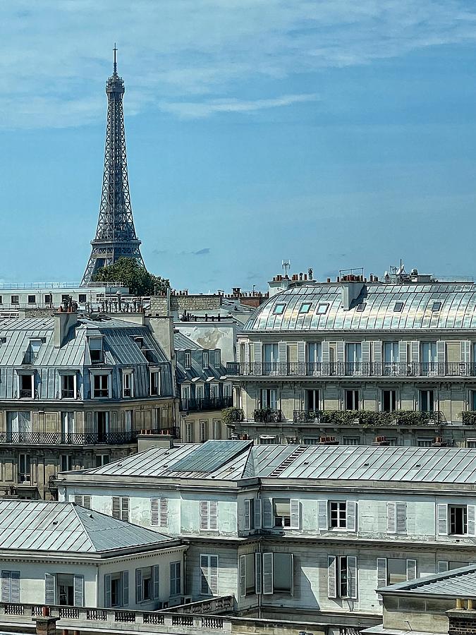 Paris Rooftops and Eiffel Tower Photograph by Nancy Wilt - Pixels