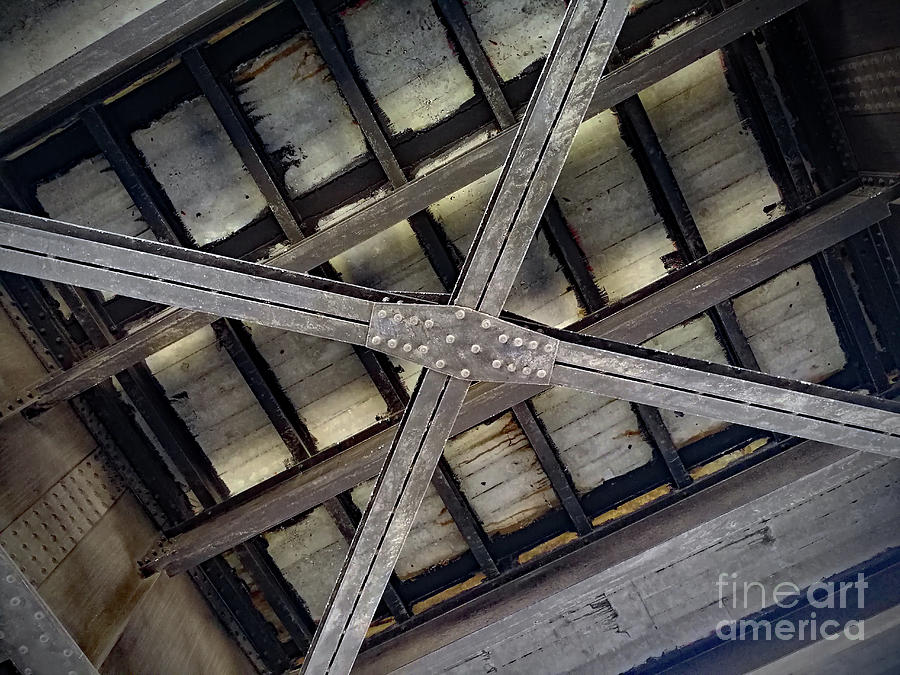 Past Its Prime 2022 Photograph By Michael Ziegler Fine Art America