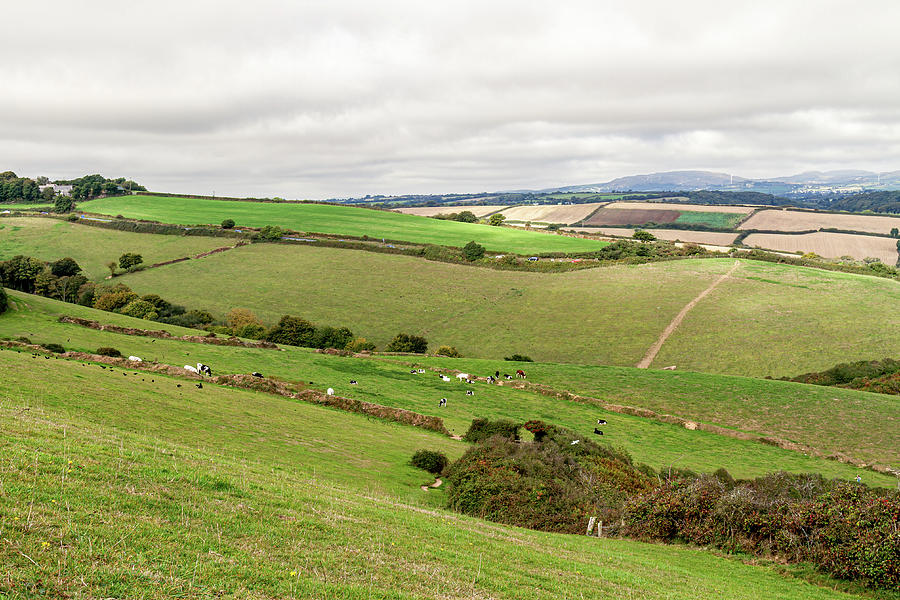 Patchwork fields Photograph by Shirley Mitchell - Fine Art America