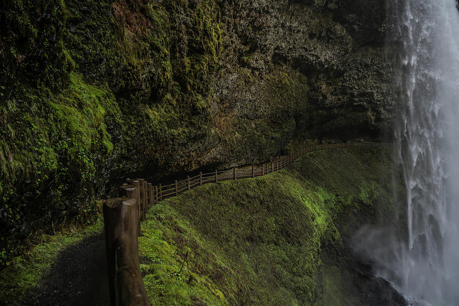 Path behind Photograph by William Aspen - Pixels