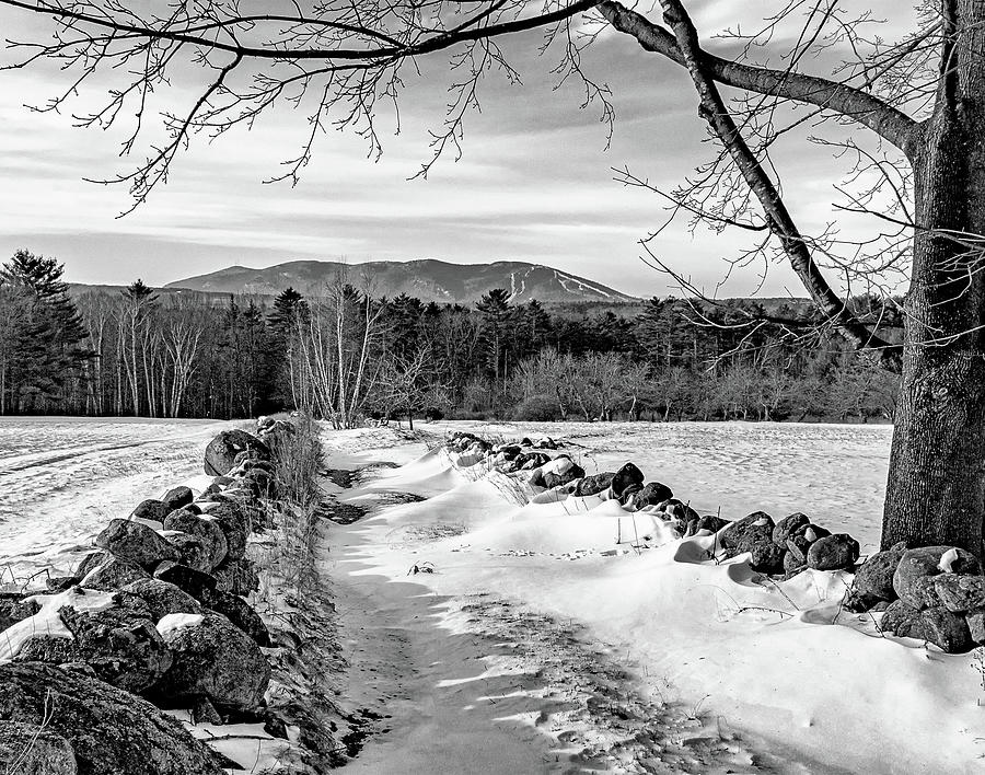 Path to the Mountain Photograph by David Hursty - Fine Art America