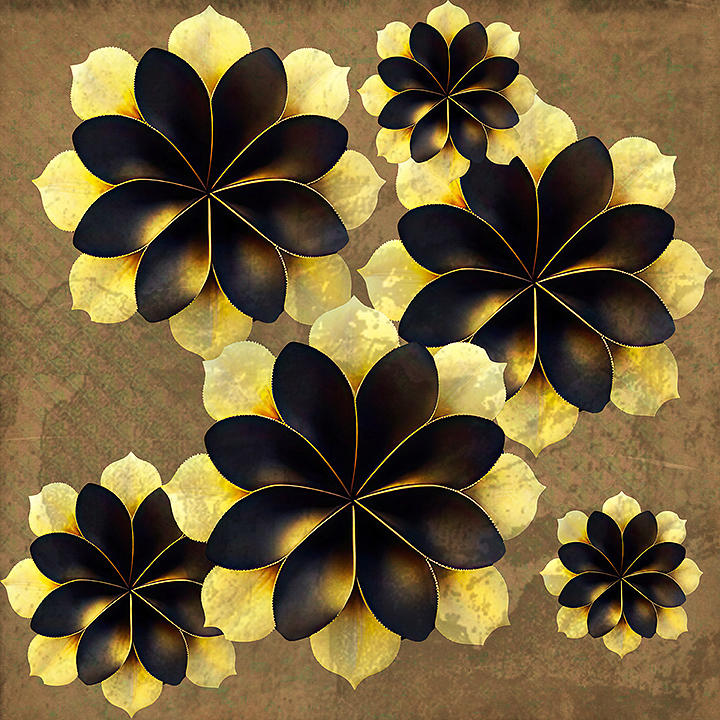 Pattern Play ... Digital Art by Judy Foote-Belleci - Fine Art America