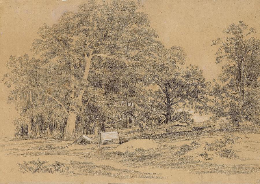 Paysage arbore Drawing by Jules Dupre French | Pixels